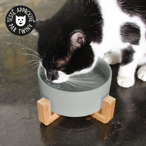 Distributeur De Pate Pour Chat