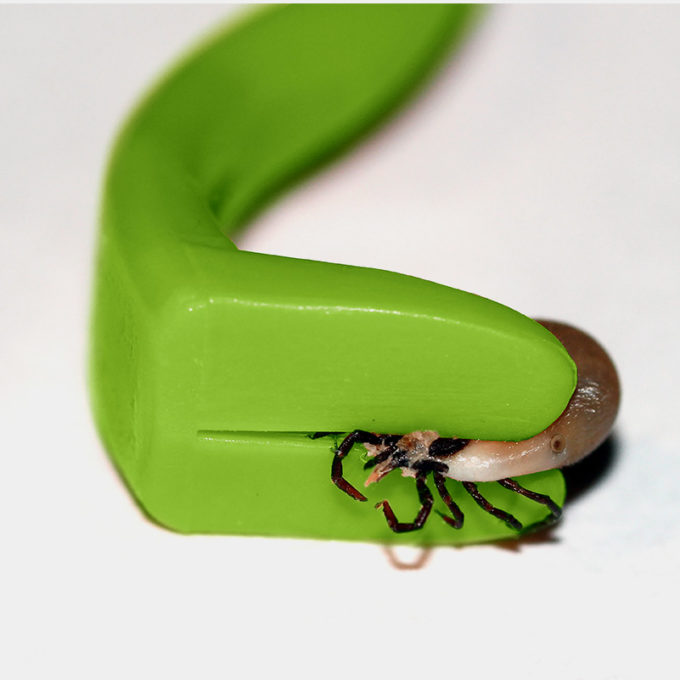 Tire-tique pour chat et chien - Pince à tique - Catedogshop