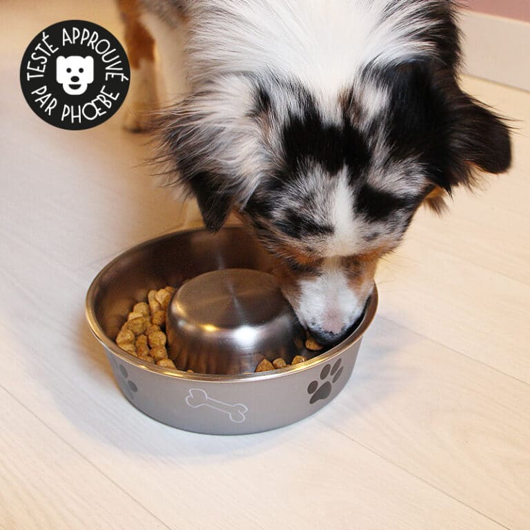 Gamelle anti glouton chien en inox Trixie - Catedogshop