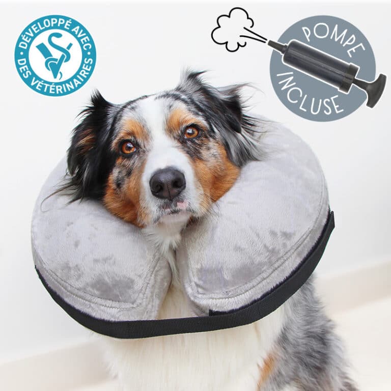 Collerette chien gonflable avec pompe - Collier de protection anti ...