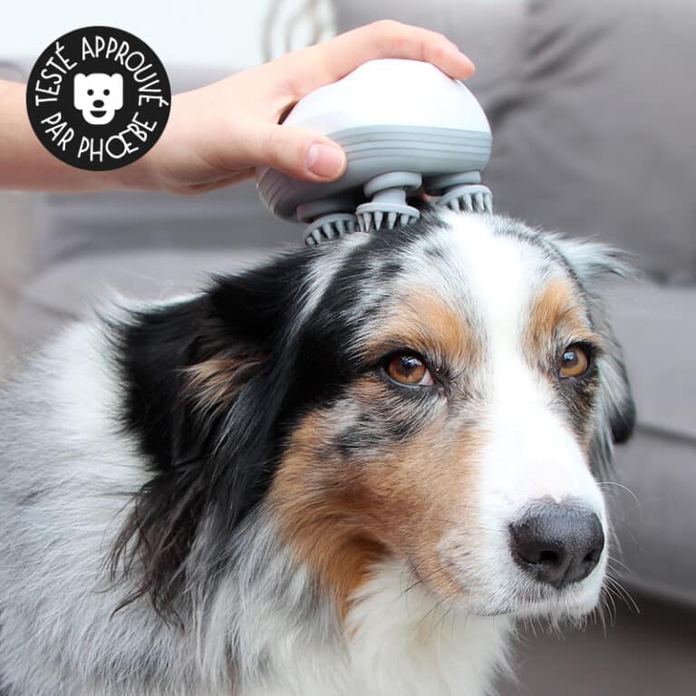 Collerette chien gonflable avec pompe - Collier de protection anti ...
